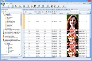 DatabaseManager-300×200 – Nucleon Software
