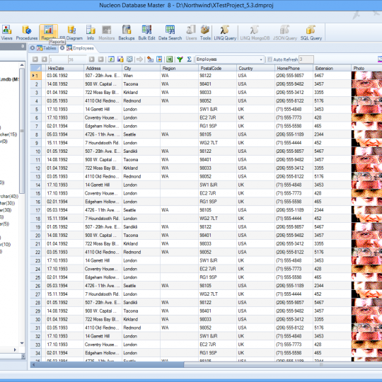 BI Studio 10.4 and Database Master 10.4 Released – Nucleon Software