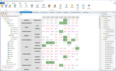 Nucleon BI Studio – Nucleon Software