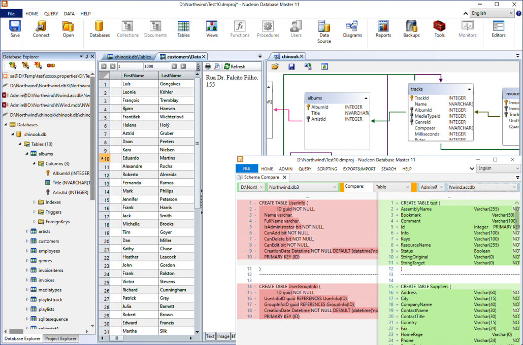 Database Master Nucleon Software