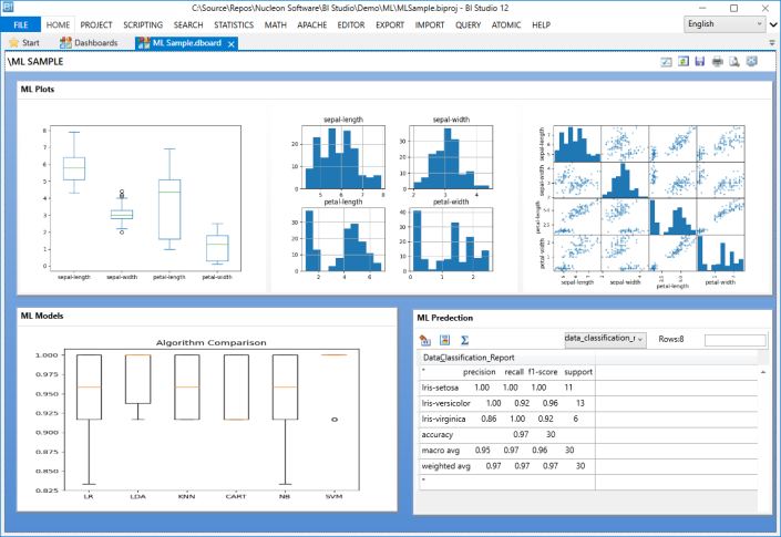 Nucleon BI – Machine Learning Project in Python – Nucleon Software